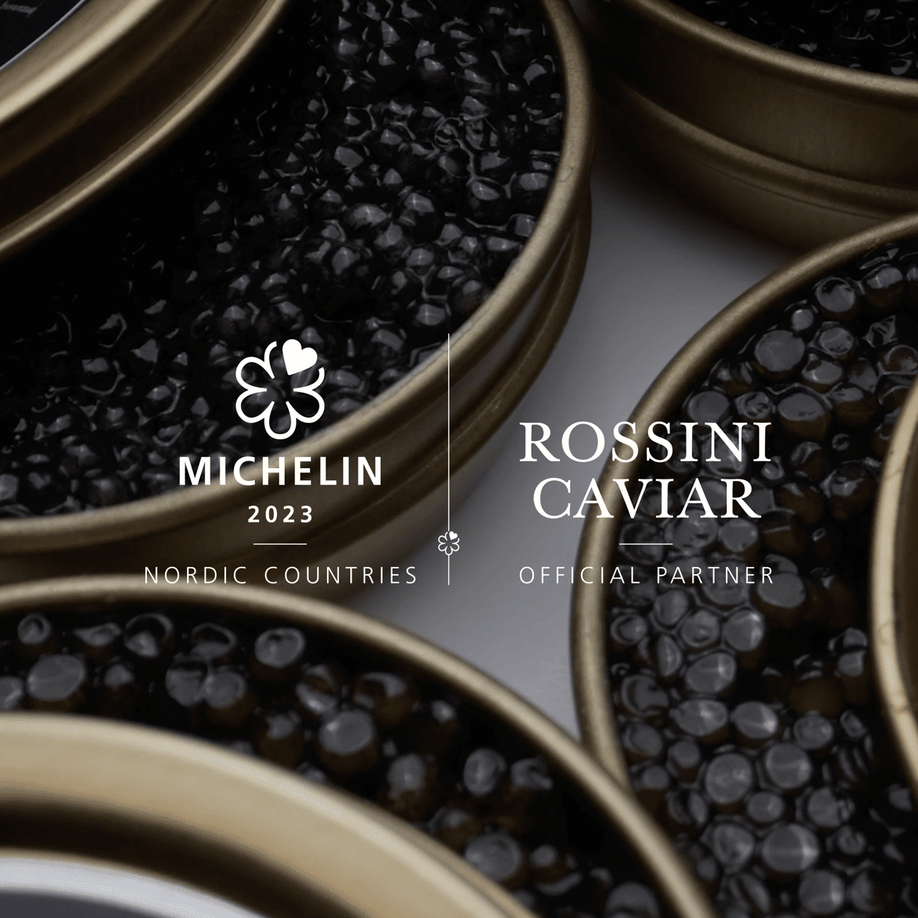 Caviar Opener | Rossini Caviar