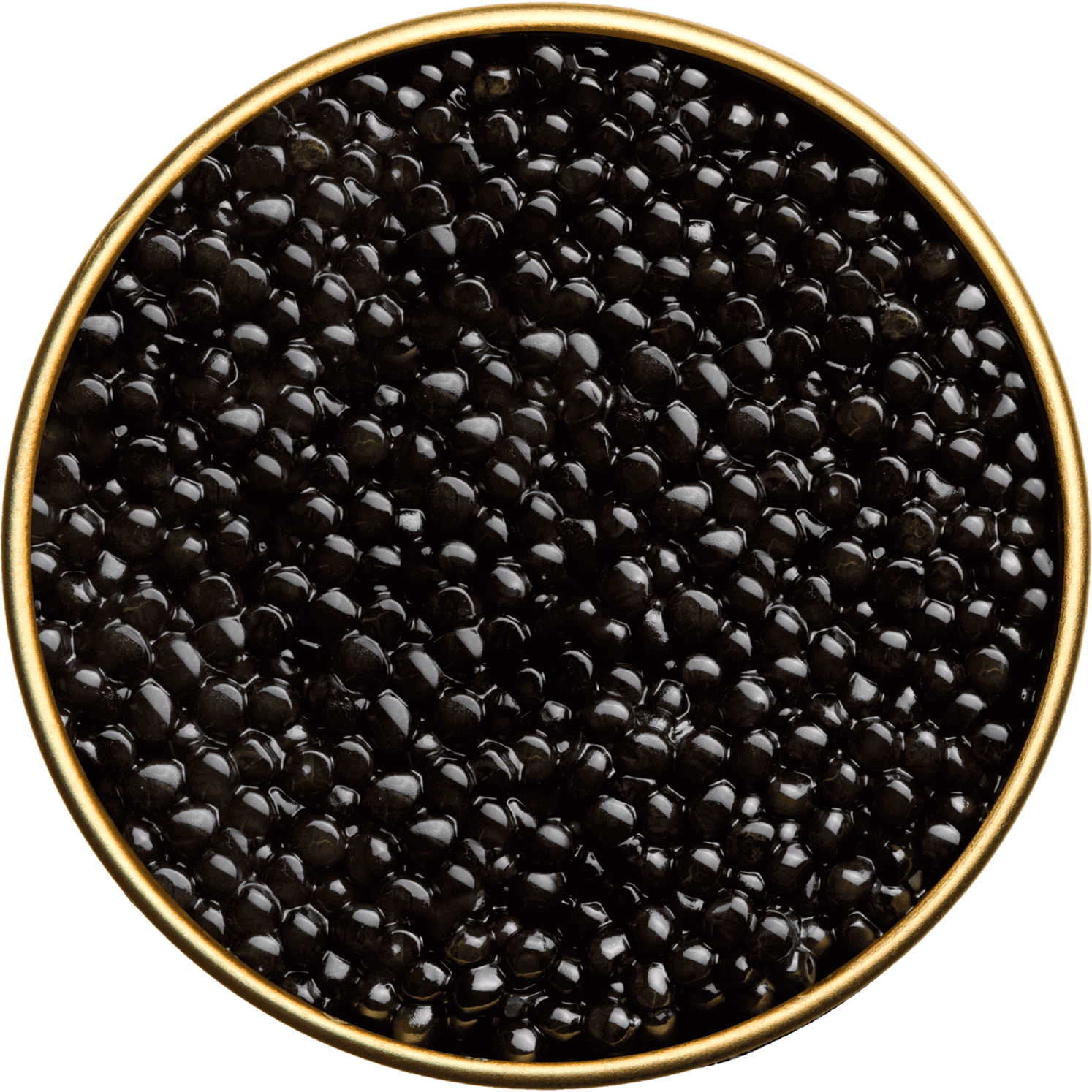 Our caviar | Rossini Caviar